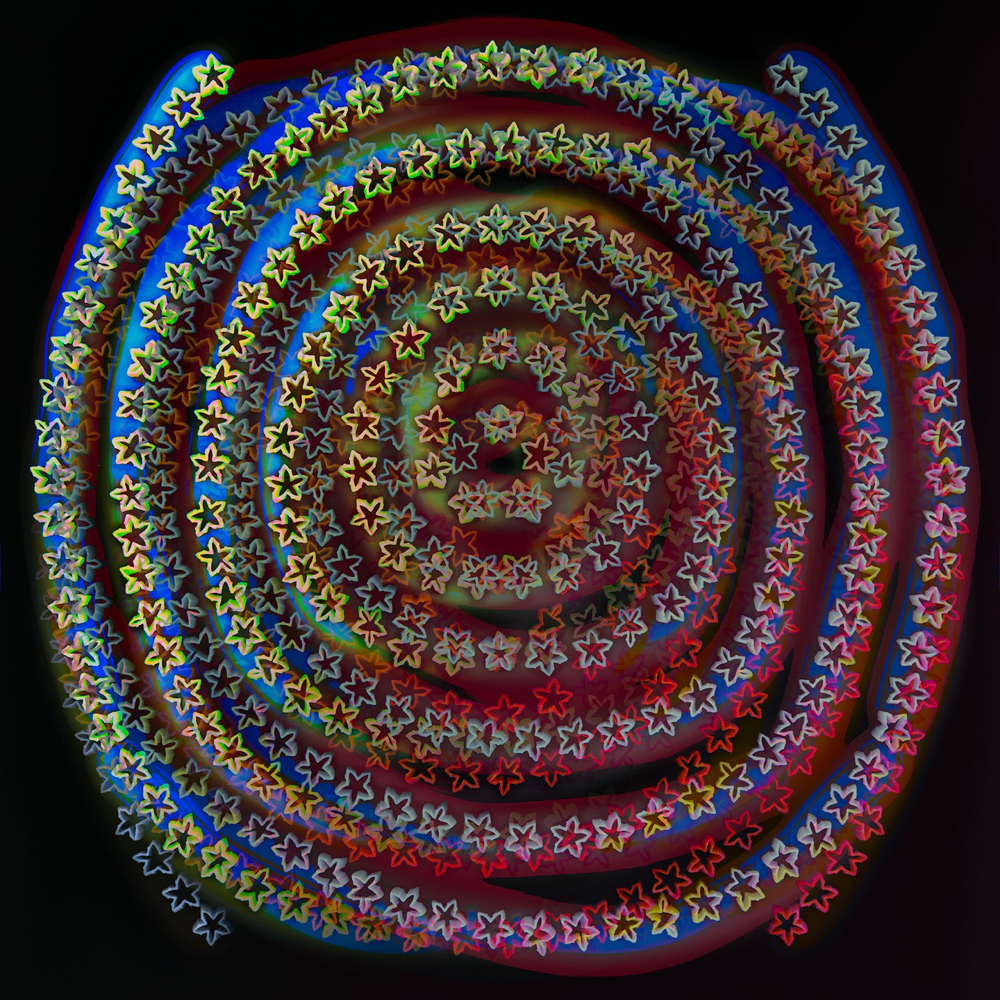 Harold Davis | Water Drops