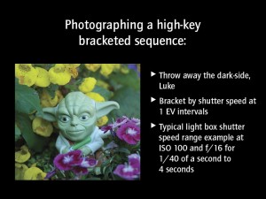 Using a High-Key Layer Stack – Harold Davis