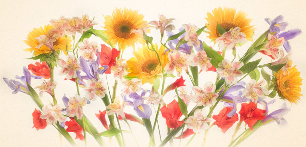Harold Davis | Flowers | Page 3