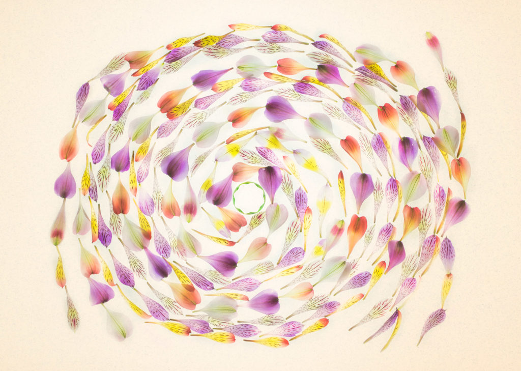 Chasing Tales – Harold Davis