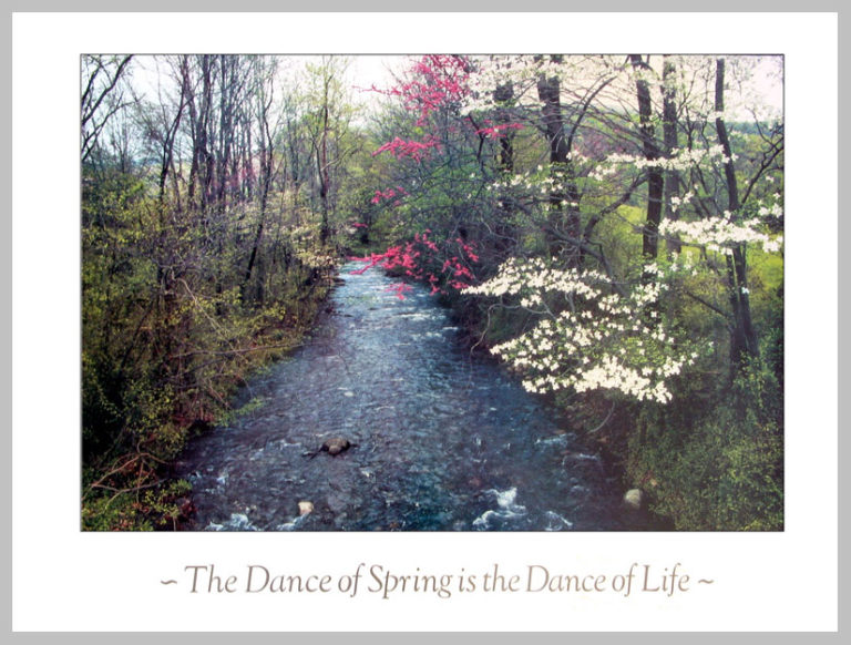 Dance of Spring Poster – Harold Davis