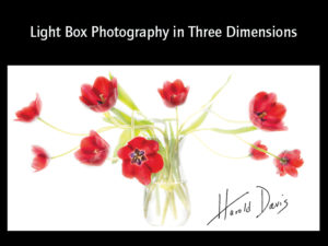 Light Box Photography in Three Dimensions | Part II: Advanced ...