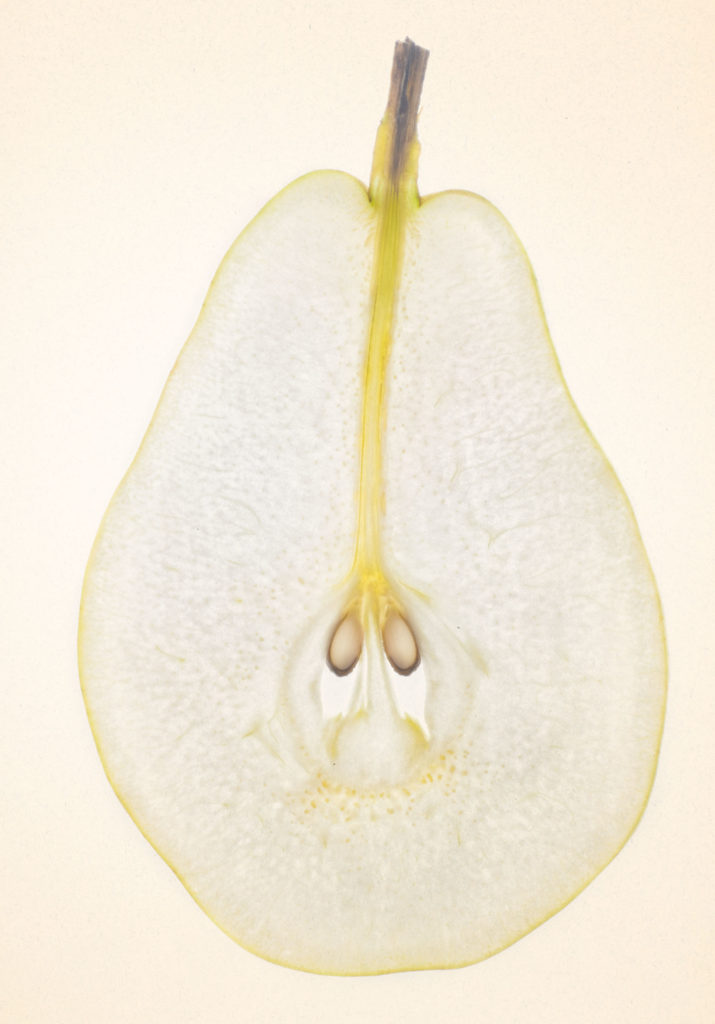 Peppers and a Pear – Harold Davis