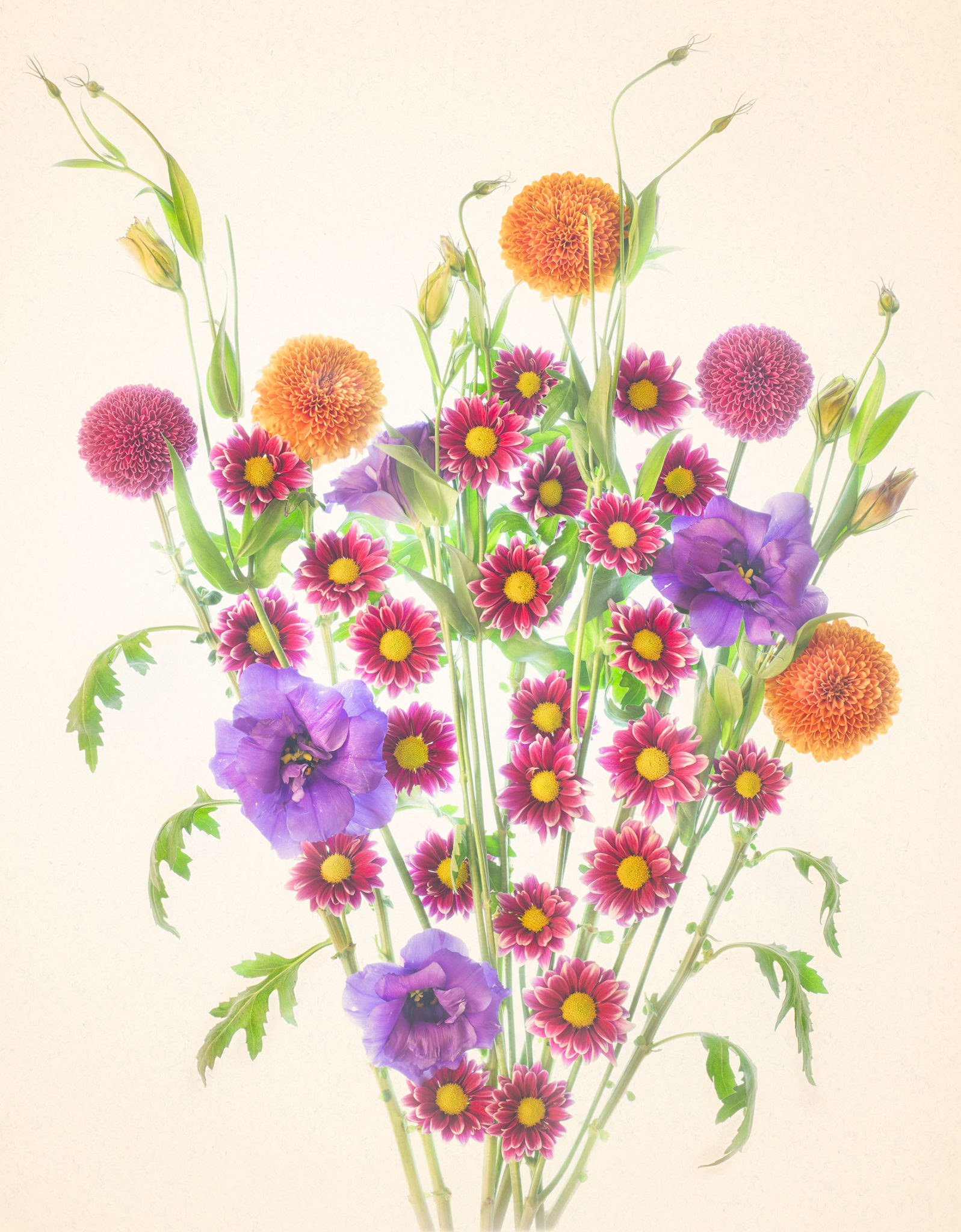 Harold Davis | Flowers | Page 4