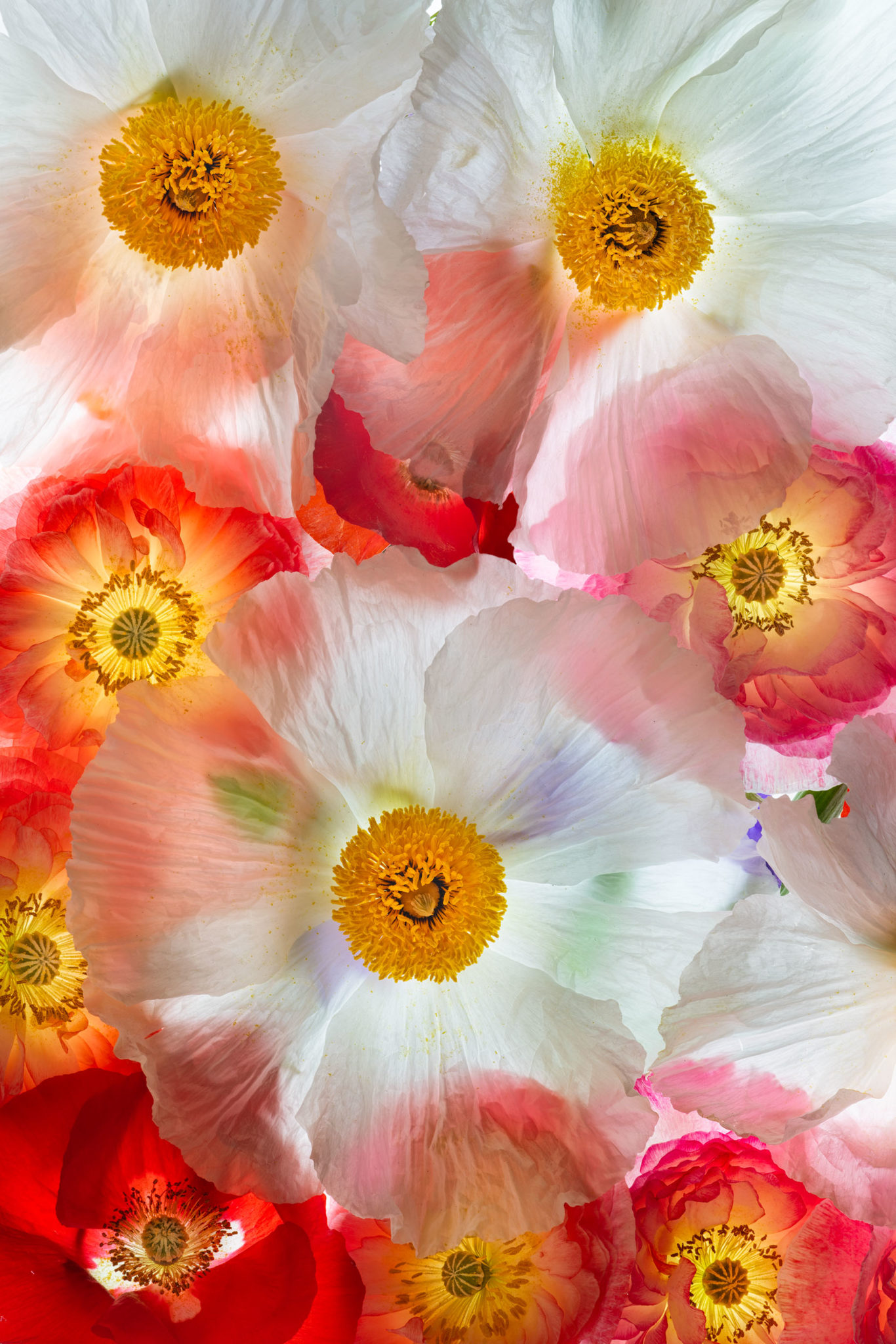 Harold Davis | Creative vision, quality, and craft in photography and ...