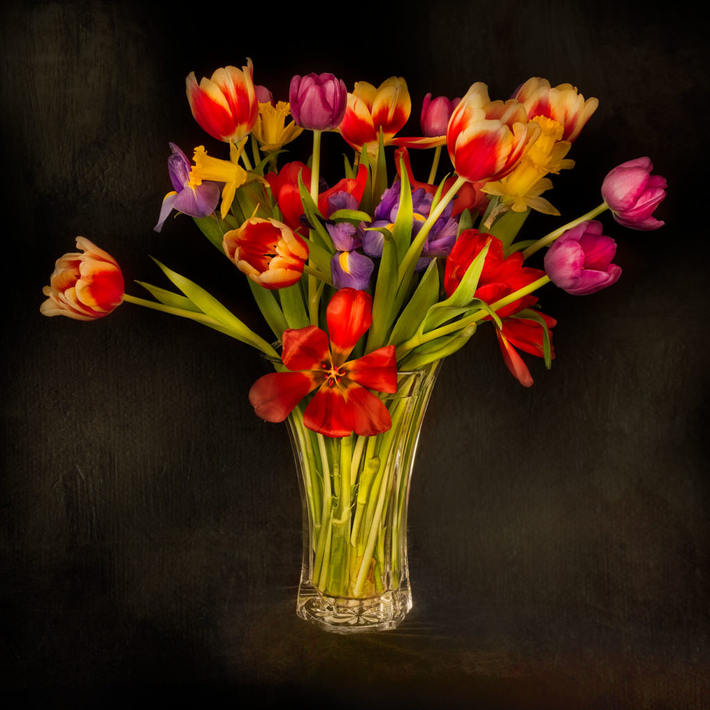 Harold Davis | Creative vision, quality, and craft in photography and ...