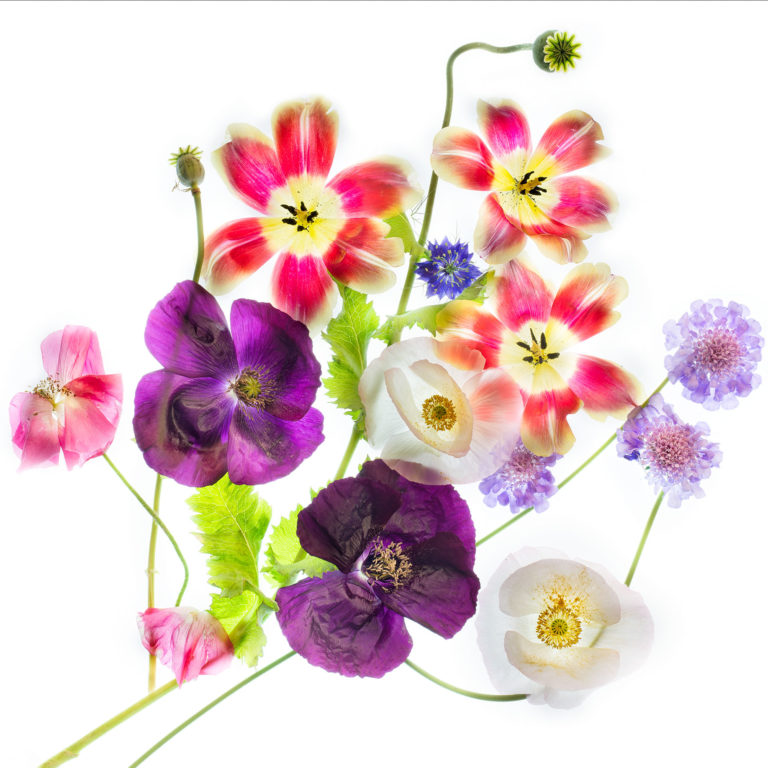 Harold Davis | Photography