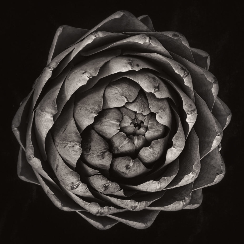 Harold Davis | Creative vision, quality, and craft in photography and ...