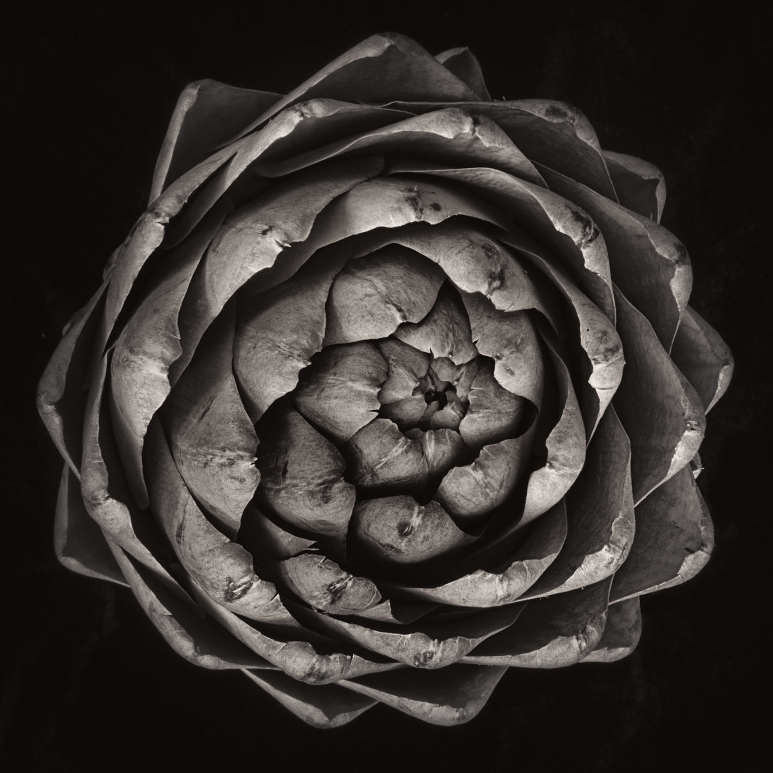 Harold Davis | Photography