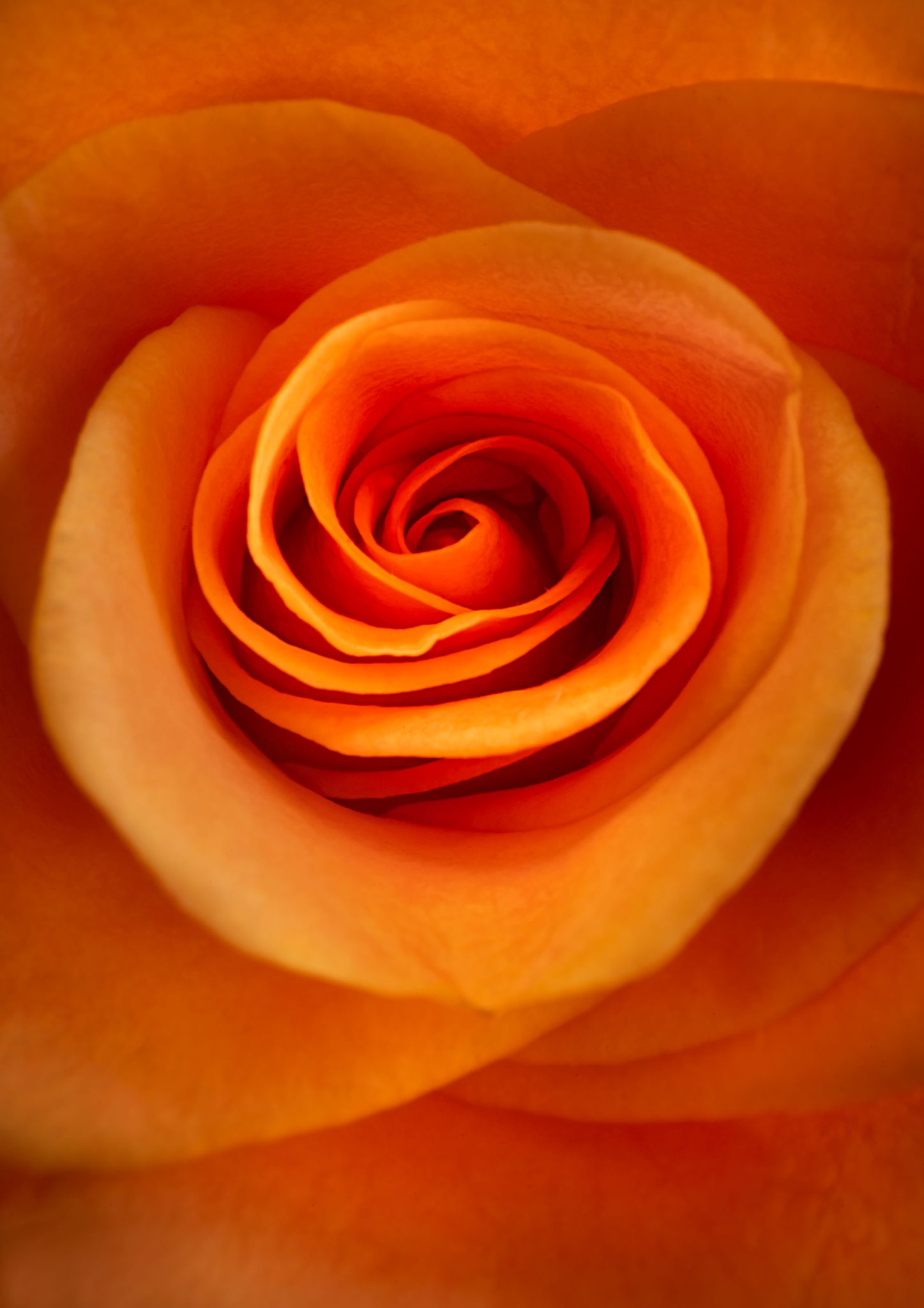 Harold Davis | Creative vision, quality, and craft in photography and ...