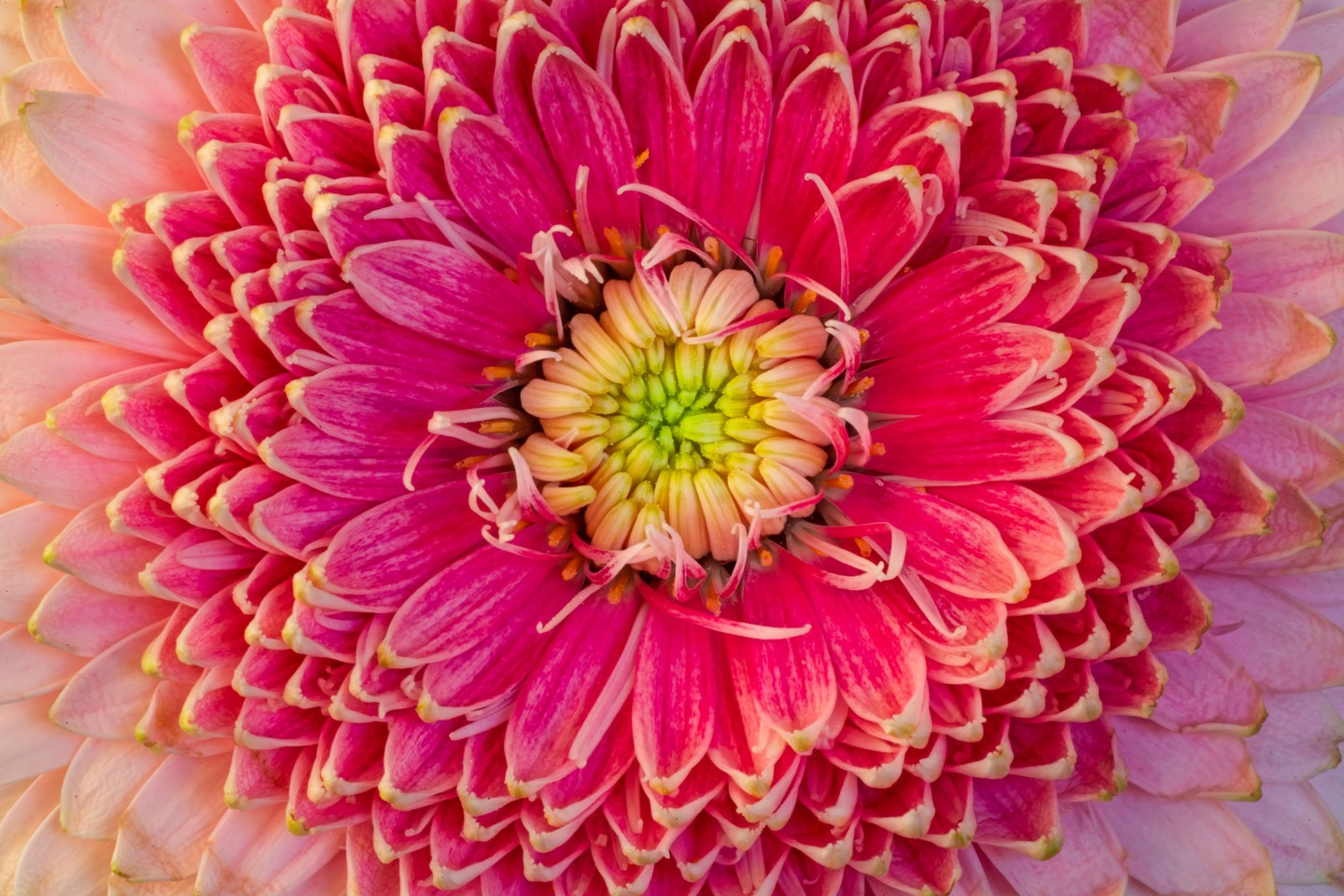 Harold Davis | 2011 | October