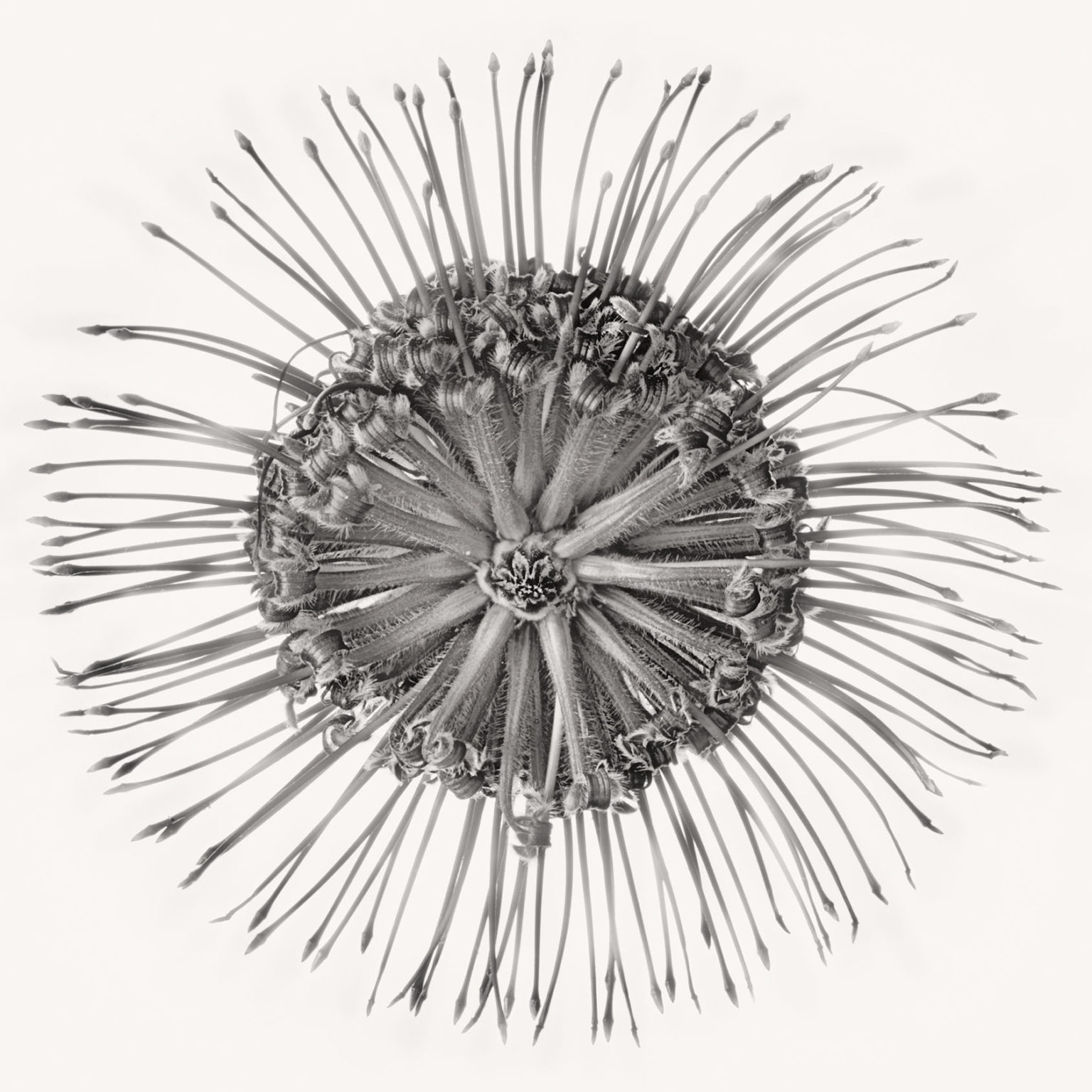 Harold Davis | Creative vision, quality, and craft in photography and ...