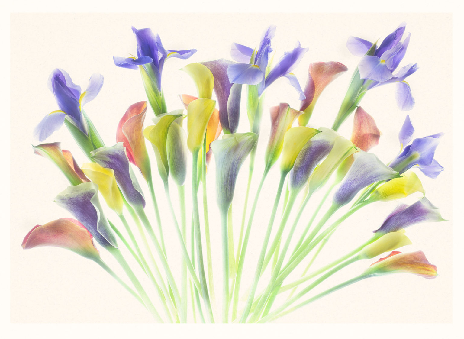 Harold Davis | Creative vision, quality, and craft in photography and ...