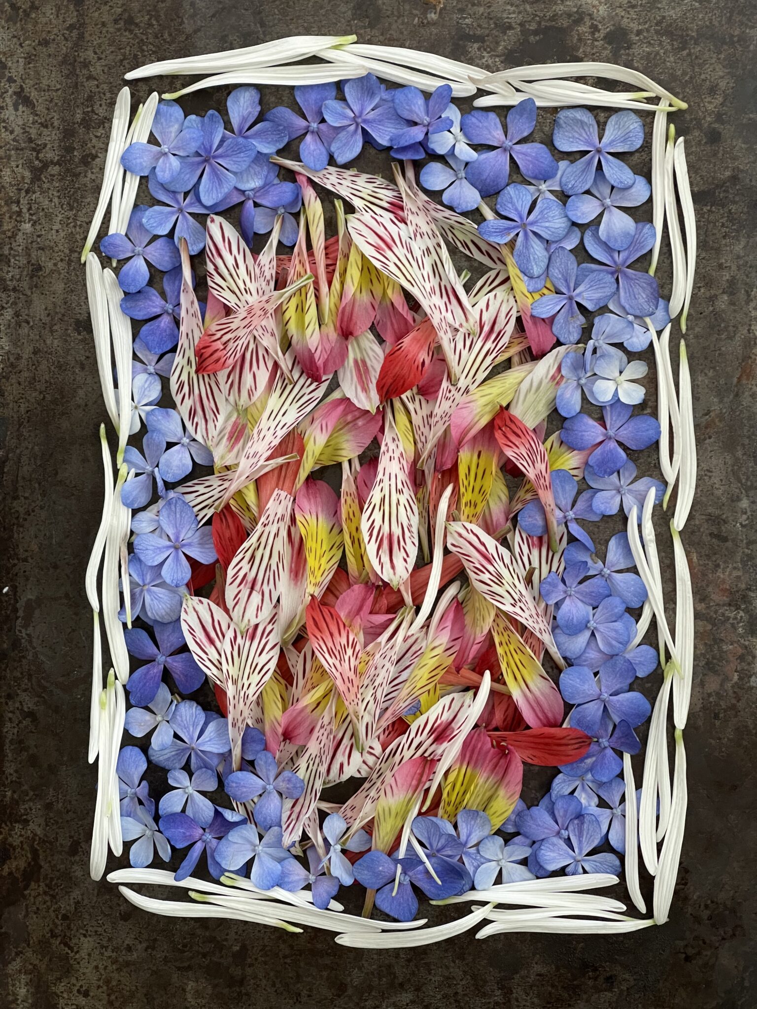 Photography – Harold Davis