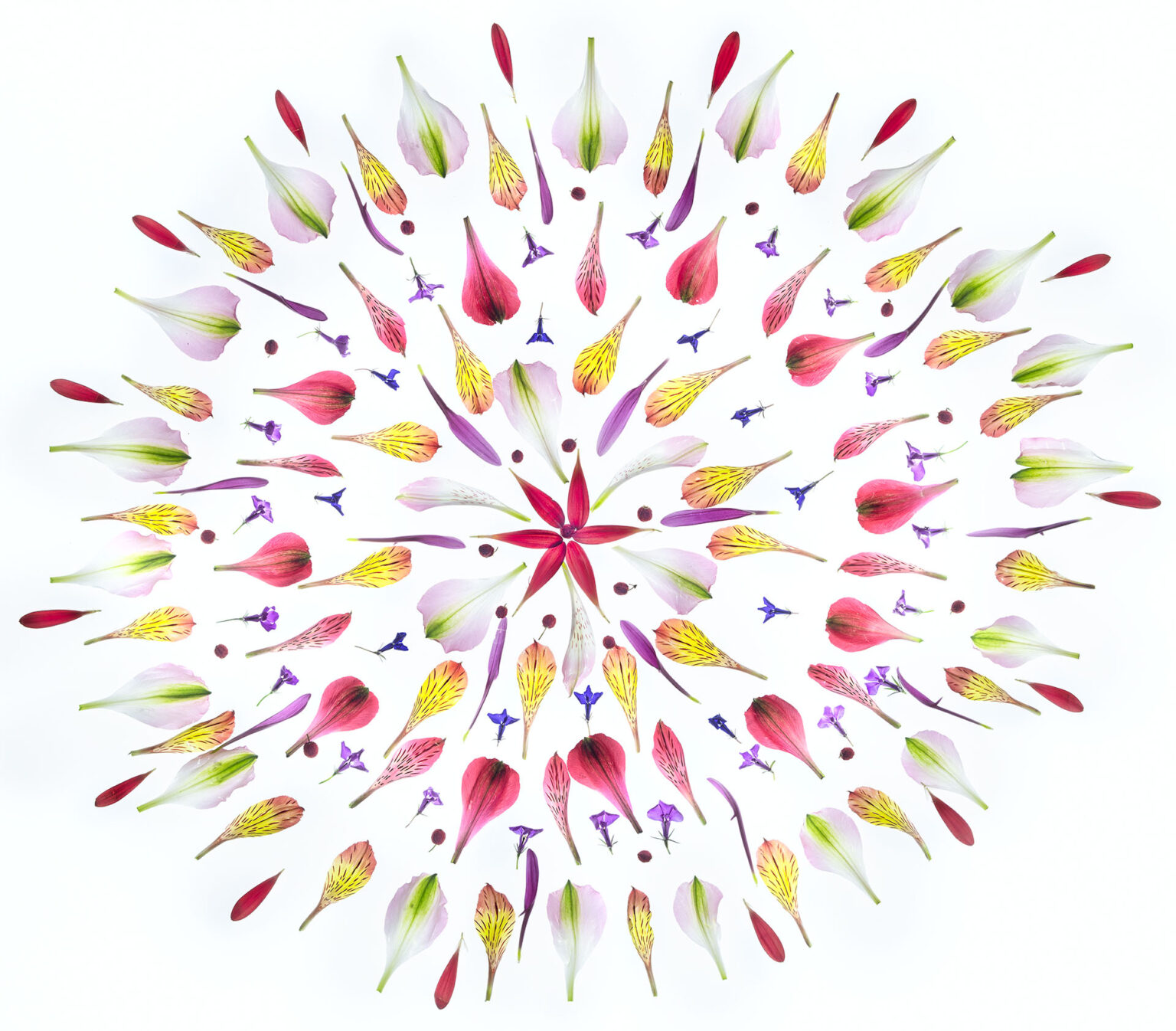 Photography – Harold Davis