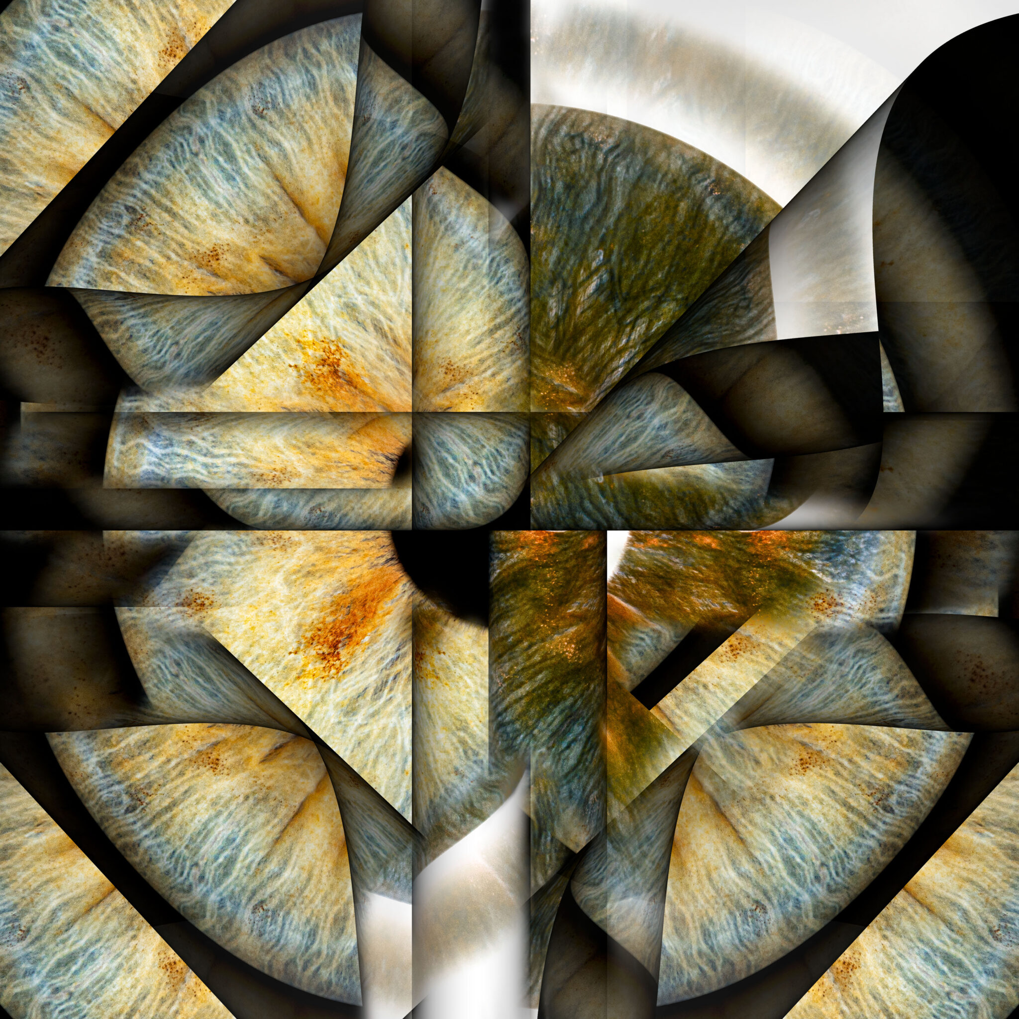 Photography – Harold Davis