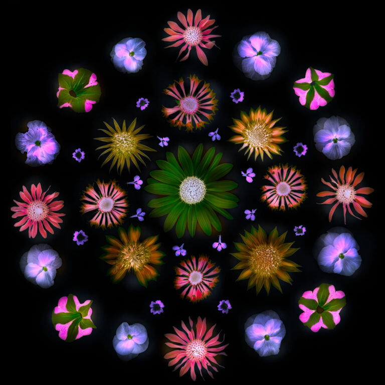 Blog – Harold Davis