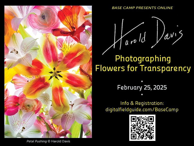 Blog – Harold Davis